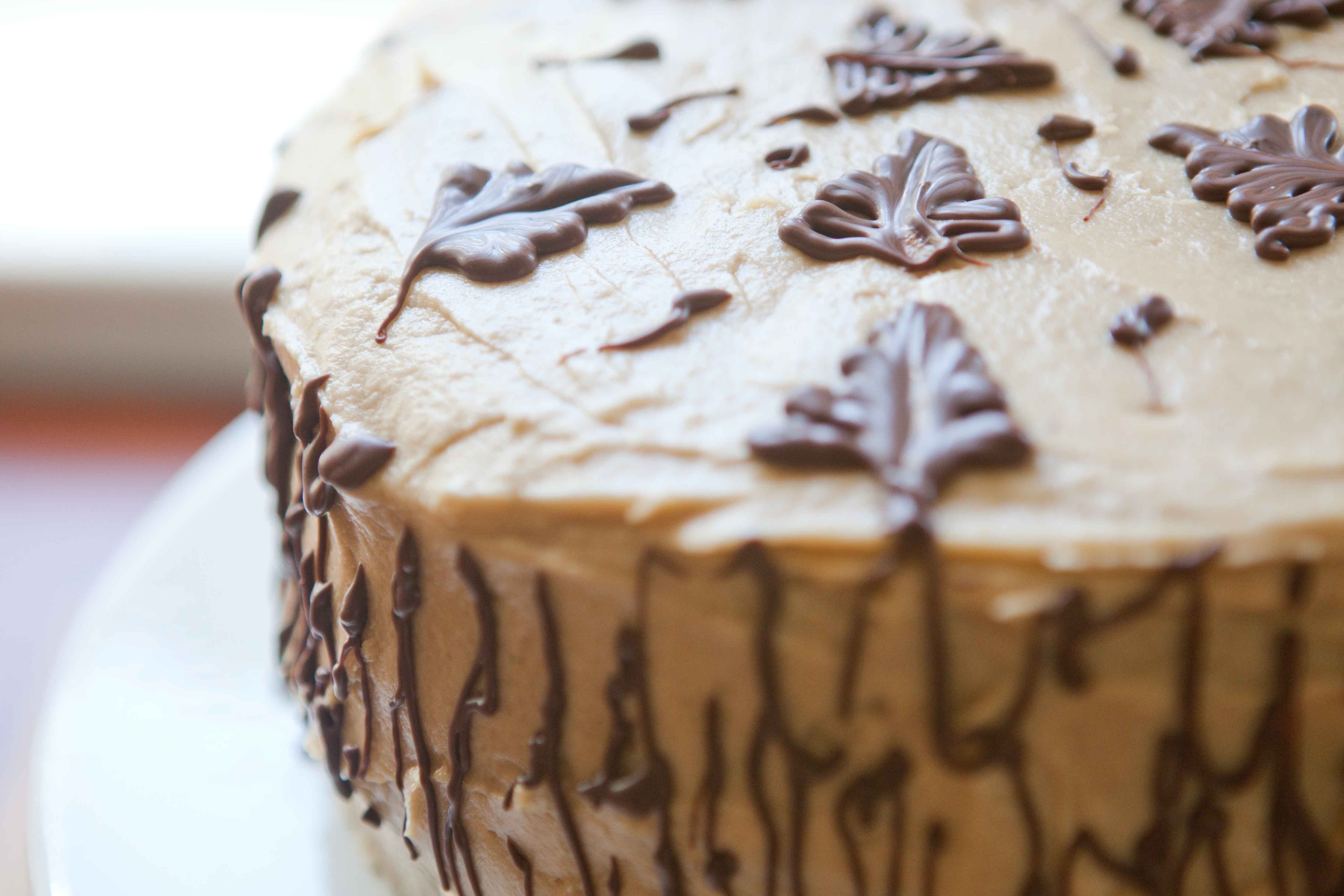 Chocolate Chocolate Chip Cookie Cake top view – Teacher – Chef